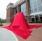 Unveiling Covers | Custom Fabric Covers For Cars, Statues, And More